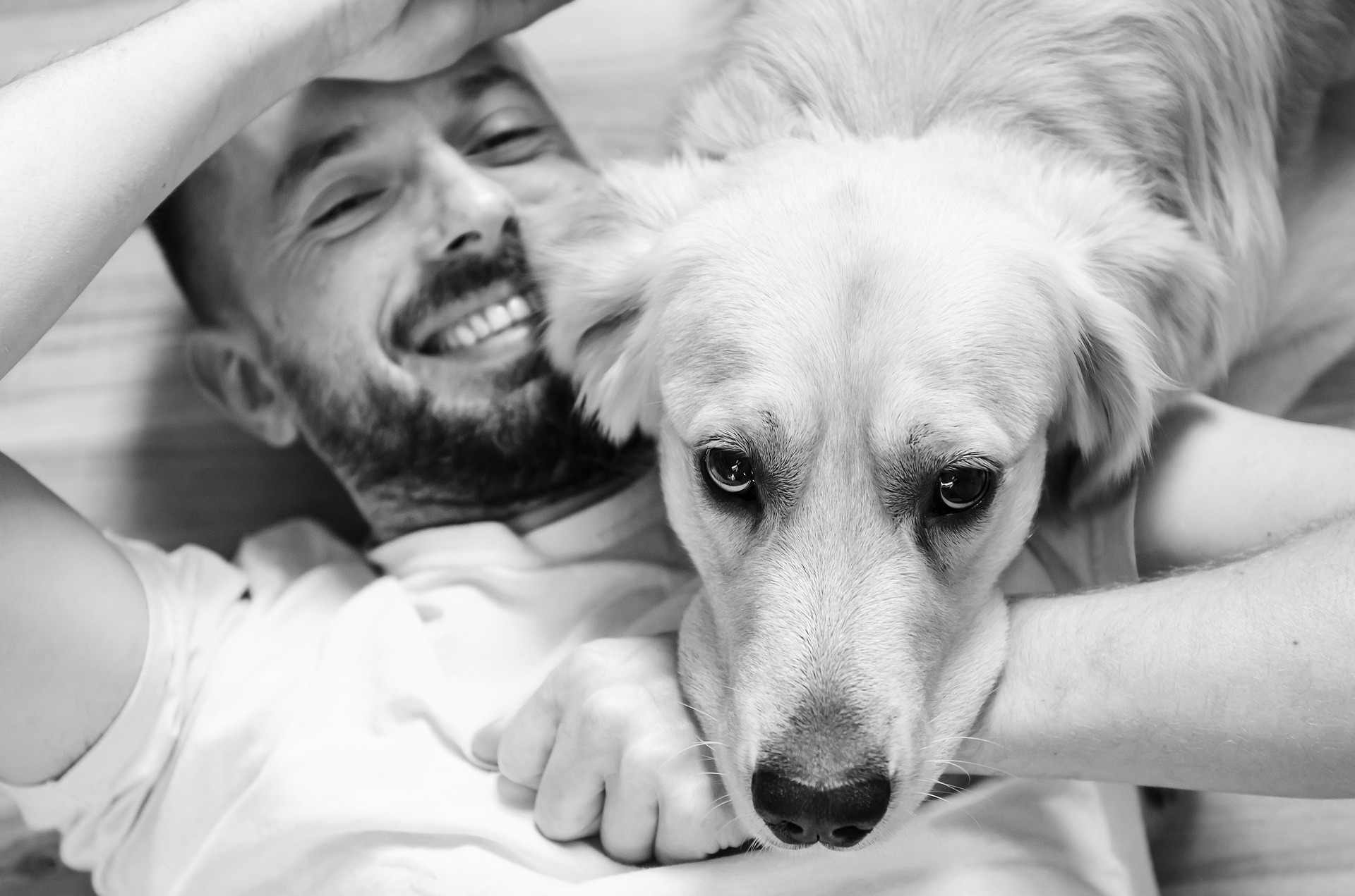 Why Dogs are Man’s Best Friend? – Doo Care